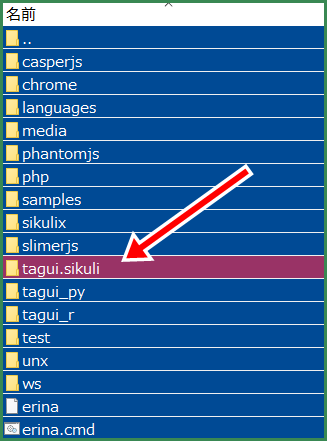 TagUI : 最初の一歩(+sikuli)